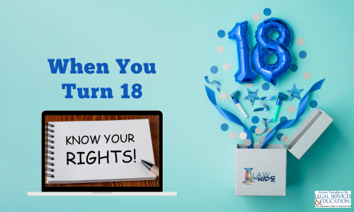 When You Turn 18 Juvenile Court Training-ACADEMY (FREE FOR EVERYONE)